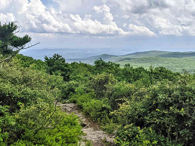 Those rolling green mountains stretching to the horizon? That's your reward for making the climb up here.