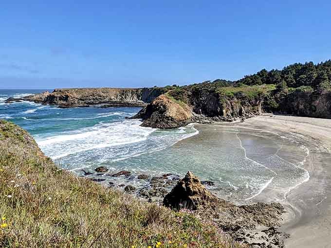 That jug handle cove isn't just a clever name – it's the Pacific Ocean showing off its artistic side.