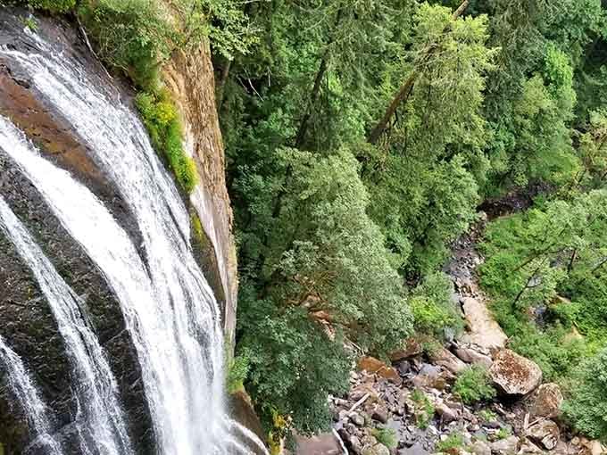 Deep canyons and towering evergreens create the kind of dramatic scenery that makes you forget civilization exists.