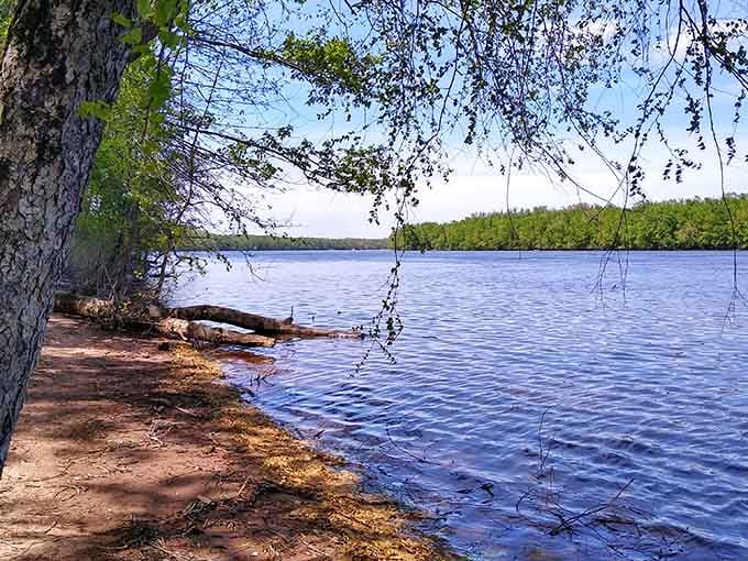 Through the trees, the Connecticut River stretches out like nature's own meditation app, minus the subscription fee.