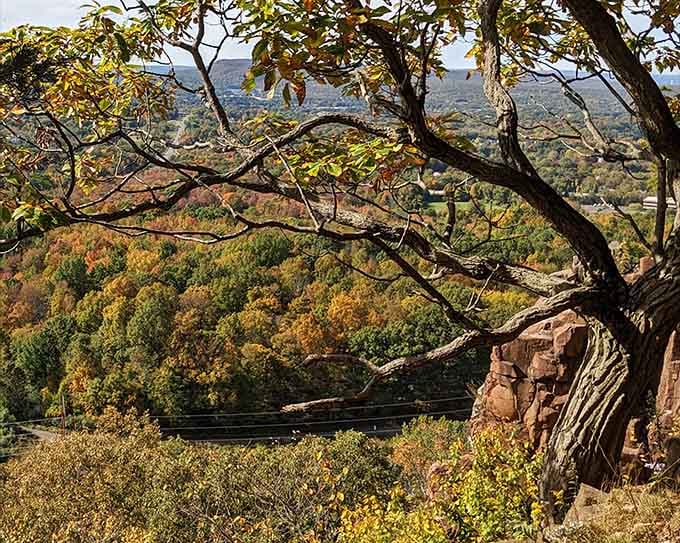 Sunlight filtering through fall foliage at the forest creates Instagram gold without any filters needed.