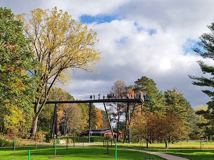 That canopy walk stretching across the autumn sky isn't just a bridge, it's your ticket to feeling like a superhero without the cape.