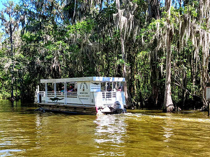 The pontoon that proves adventure doesn't require paddling, sweating, or questioning your life choices mid-journey.