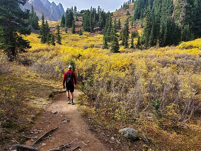 Golden autumn shrubs carpet the valley floor like nature's welcome mat, beckoning you toward those dramatic peaks ahead.