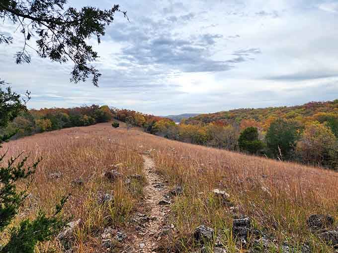 Hiking trails wind through diverse terrain, offering spectacular views especially during fall when the foliage explodes with vibrant colors.