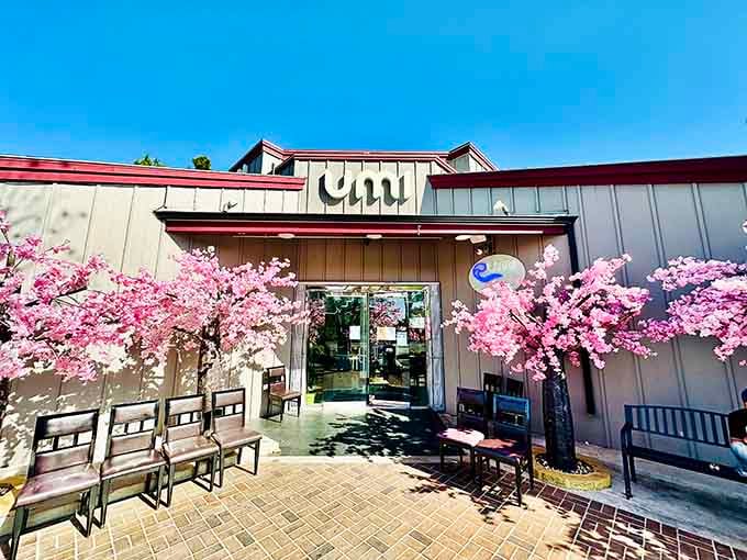 The unassuming exterior hides a seafood paradise that'll make you rethink every buffet you've ever visited before today.