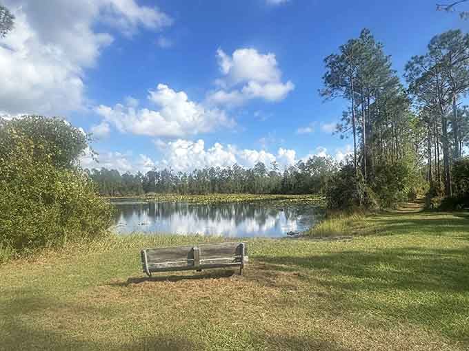 That lonely bench overlooking still waters proves the best seats in Florida don't require reservations or credit cards.