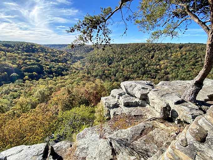 Standing on ancient sandstone while gazing across endless green valleys beats any screensaver you've ever downloaded.