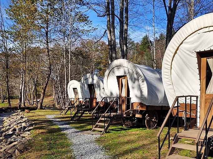 Blue skies and covered wagons create the perfect backdrop for pretending you're heading west without actually going anywhere.