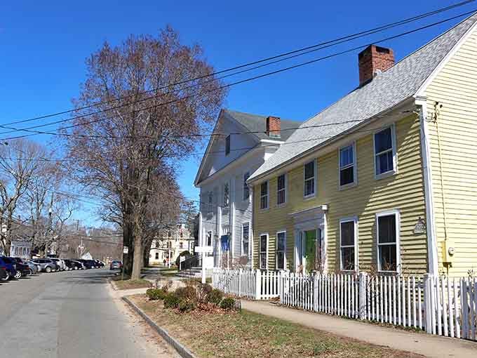 Tree-lined streets that look like they were designed specifically to lower your blood pressure by twenty points.