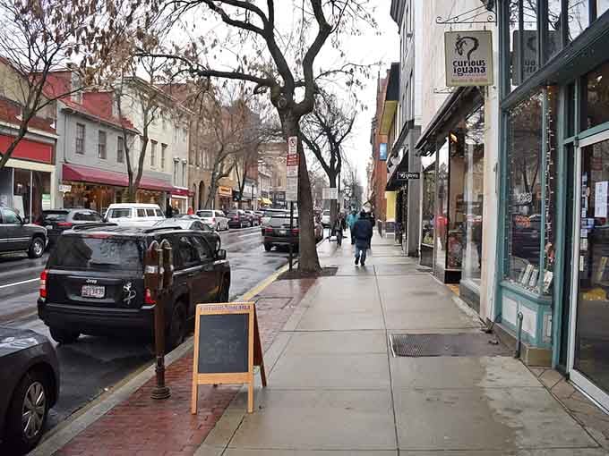 Downtown Frederick's historic streets invite you to slow down, breathe deep, and remember what relaxation actually feels like.