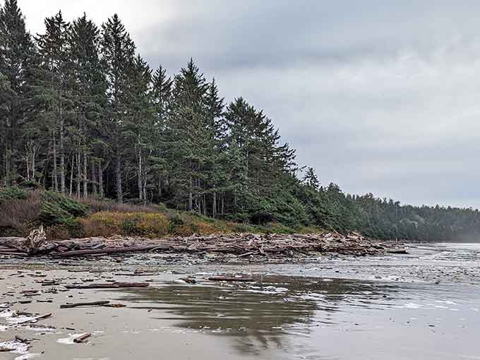 Those sea stacks rising from the Pacific aren't just rocks, they're nature's own sculpture garden.
