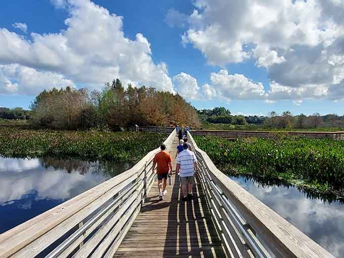 The boardwalk stretches ahead like a wooden runway through paradise, where the only traffic jam involves patient photographers and wandering families.