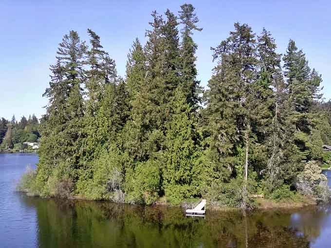 Your own private island looks exactly like you imagined it would, minus the coconut trees and plus some very Pacific Northwest evergreens.