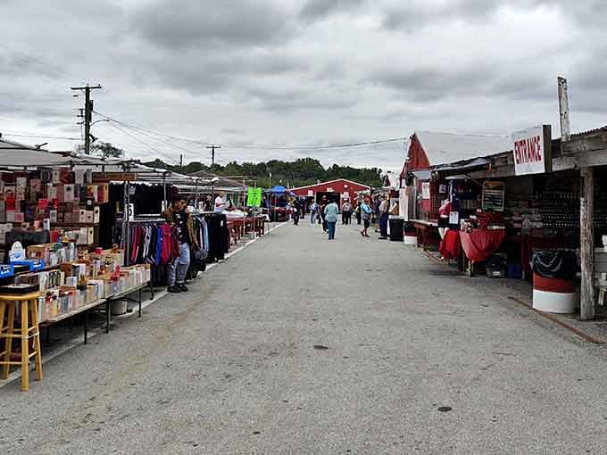 Wide aisles, endless possibilities, and that electric buzz of discovery that makes flea markets utterly irresistible.