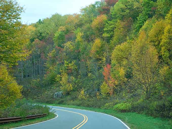 Autumn's first whispers paint the mountainside in gold and crimson, inviting you around every gentle curve ahead.