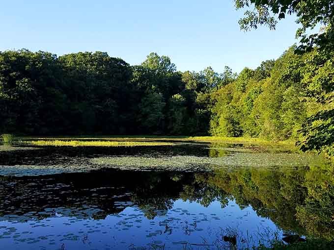 The pond lives up to its name, tucked away like nature's best-kept secret in Southbury's backyard.