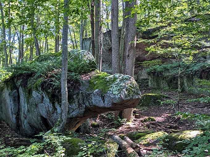 Ancient boulders and winding trails remind you that nature's been doing this longer than we have.