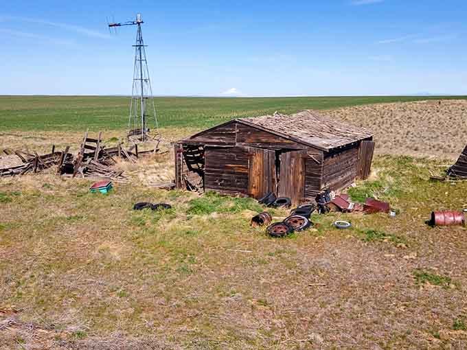 The weathered buildings of Kent sit surrounded by farmland, with an old windmill standing watch over the slowly decaying ghost town.