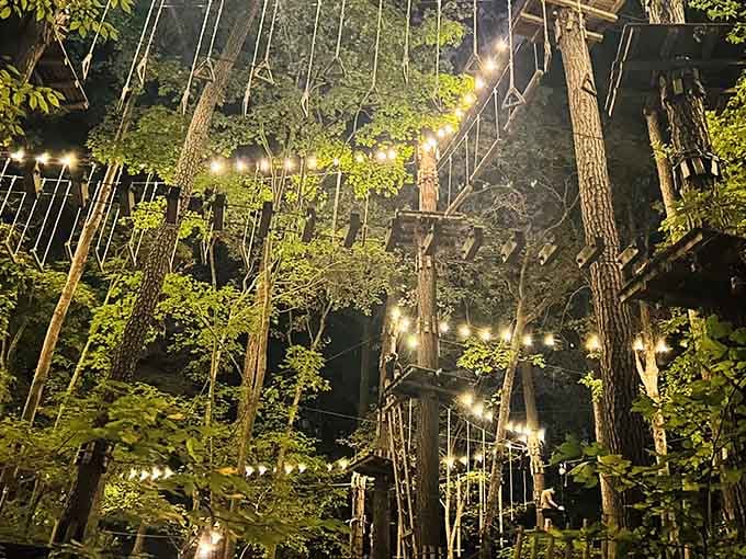 Light up your night at this incredible outdoor park, where mesmerizing lights and thrilling obstacles create a dreamlike family adventure.