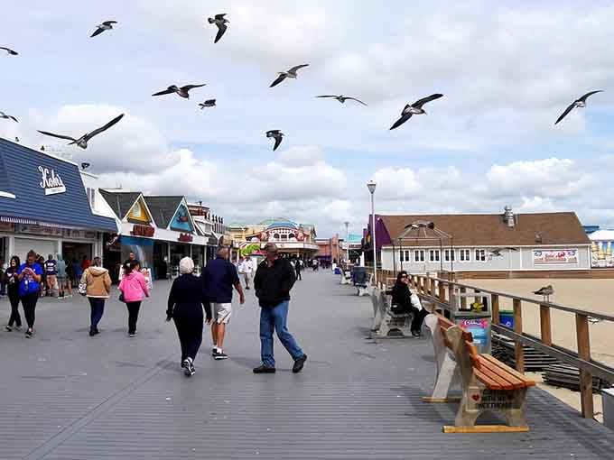 Seagulls patrol the boardwalk like they're collecting rent, while families stroll through classic Jersey Shore perfection.