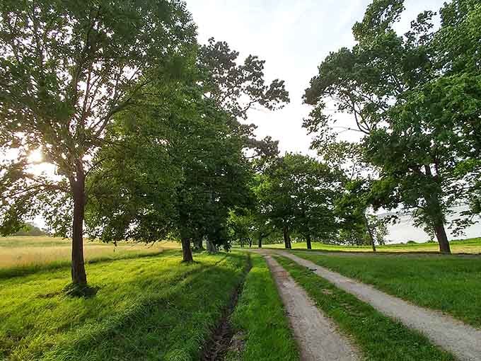 Tree-lined carriage paths that make you feel like you've stepped into a landscape painting, minus the frame and the museum admission fee.