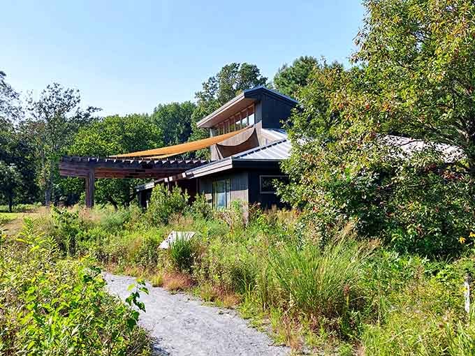 Modern architecture meets wild meadow in this stunning visitor center that proves nature and design make beautiful partners.