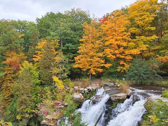 Fall at Chittenango Falls is absolutely stunning, with vibrant autumn colors framing the cascading water in a perfect seasonal display.