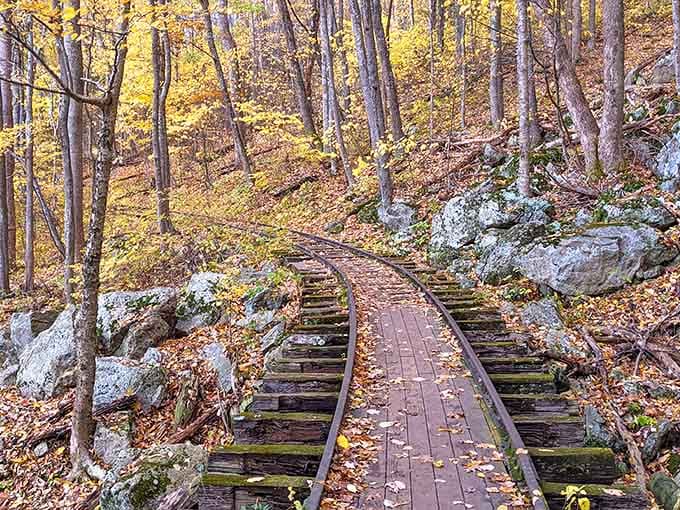 The reconstructed logging railroad tells stories of Virginia's industrial past, one wooden tie at a time.