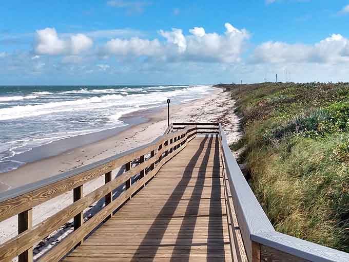 Follow this scenic boardwalk path where native vegetation meets endless beach, offering easy access to one of Florida's most unspoiled coastal treasures.