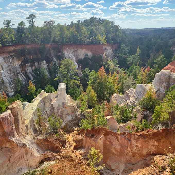 Mother Nature's paint palette went absolutely wild here, splashing pink, orange, and white across towering canyon walls.