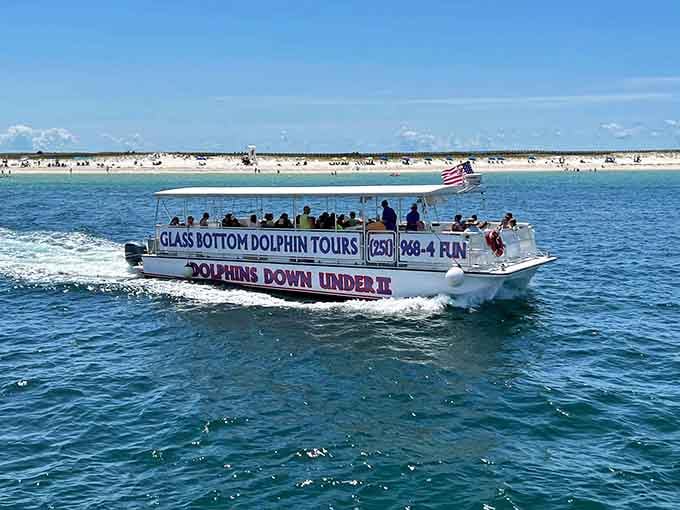 The Dolphins Down Under II glides through Orange Beach waters like a floating window into another world.