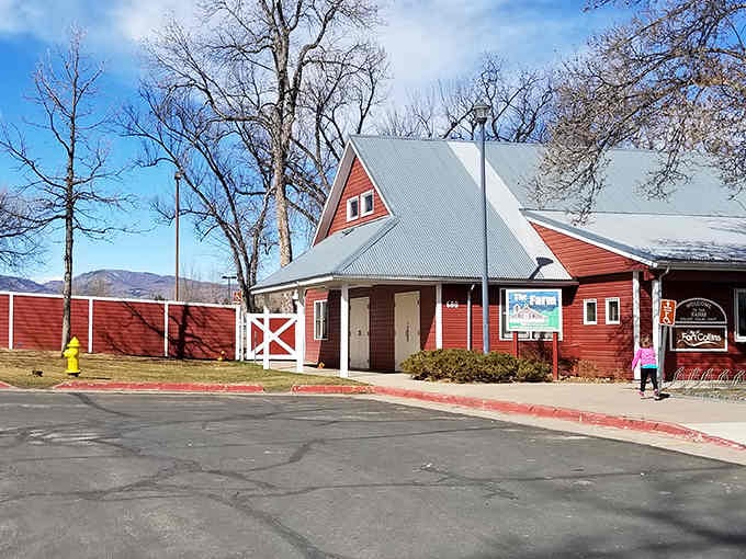 Those classic red barns aren't just for show; they're home to some of Colorado's friendliest four-legged residents.