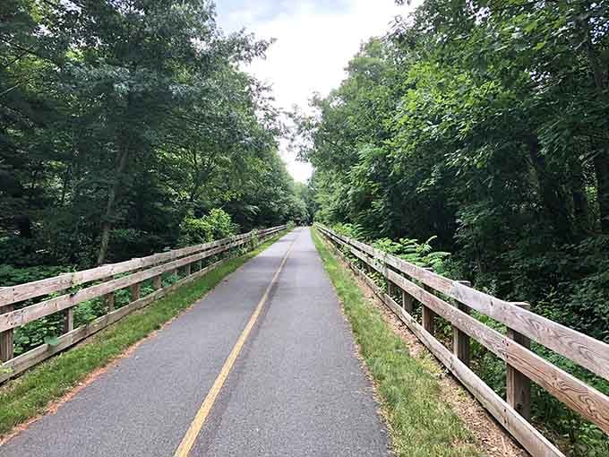That yellow line isn't just for show; it's your personal highway to adventure minus the traffic jams.