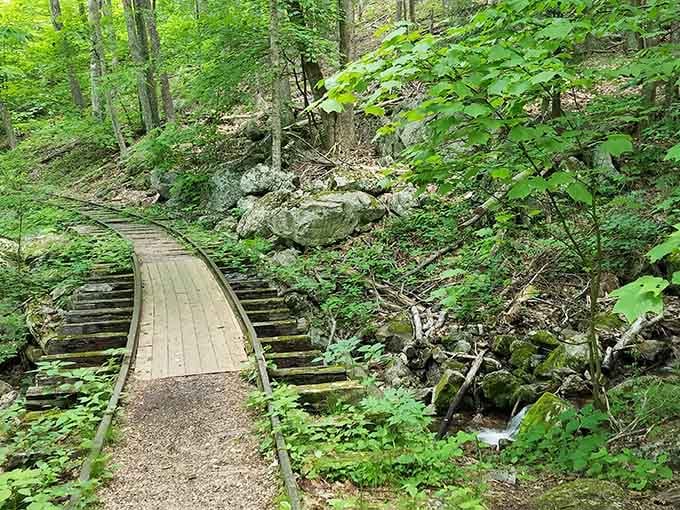 The reconstructed logging railroad tells stories of Virginia's industrial past, one wooden tie at a time.