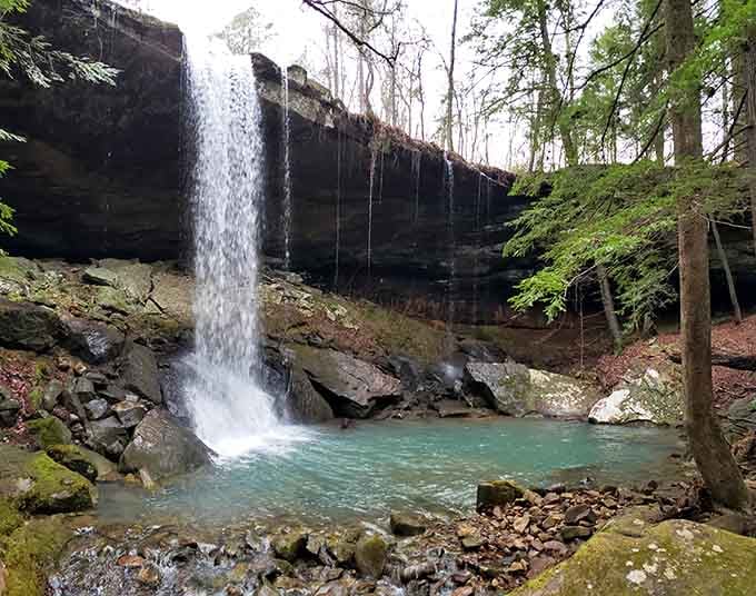 This is the kind of waterfall that makes you forget you're still in Alabama, not some exotic destination.