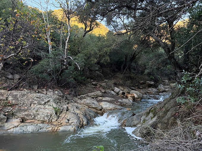 Sandstone sculptures meet rushing water in a geological masterpiece that makes you wonder why you ever paid for art.