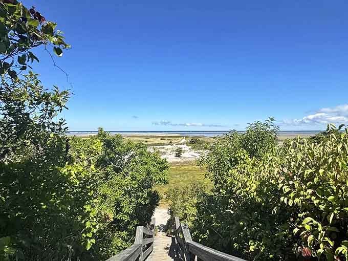 That boardwalk stretching across golden marsh grass looks like nature's own yellow brick road to paradise.