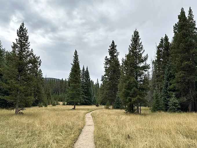 This peaceful meadow trail proves that the journey to a ghost town doesn't require actual ghosts.