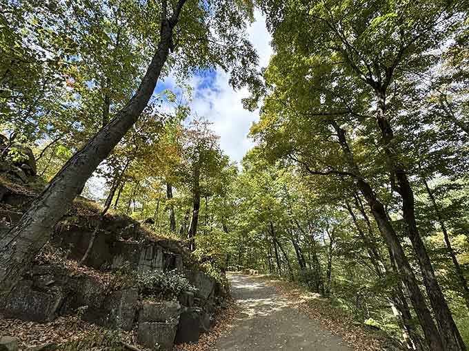 The trail beckons with that "road less traveled" vibe, minus the Robert Frost angst and plus spectacular ridge views.