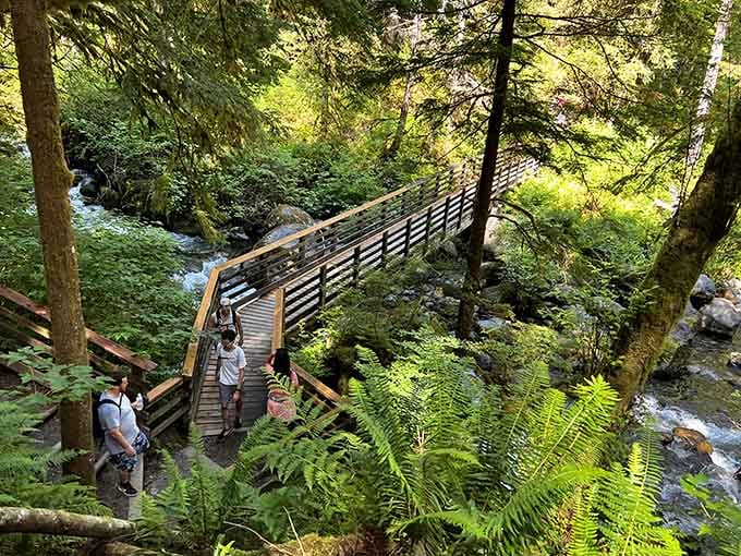 That wooden bridge isn't just a crossing, it's your official entrance into a world where cell service becomes optional.