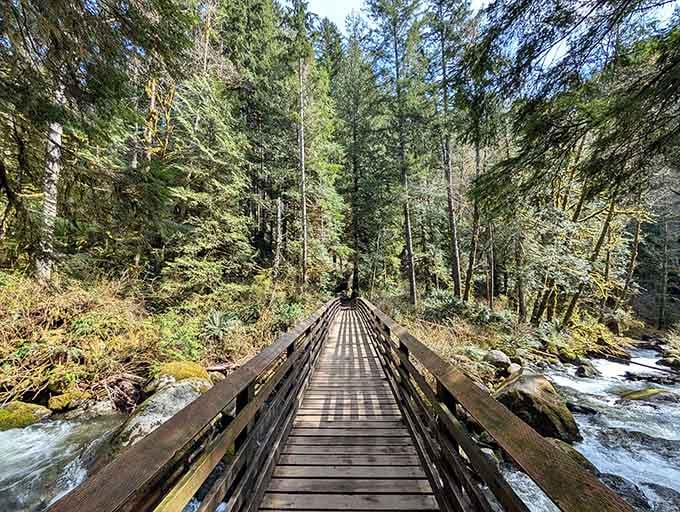 That wooden bridge isn't just a crossing, it's your official entrance into a world where cell service becomes optional.