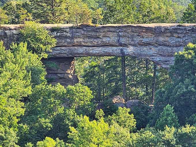 That's your destination right there, framed by forest like nature's own picture window waiting for your arrival.