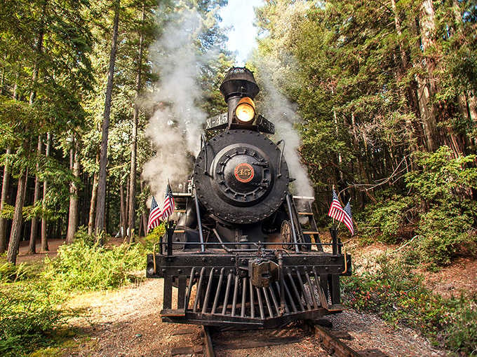 Sunbeams and steam create pure magic as the Skunk Train winds through towering redwoods like a moving postcard.