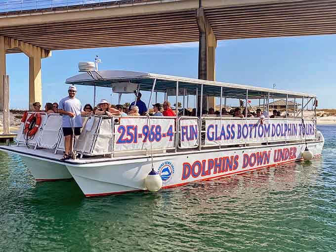The Dolphins Down Under II glides through Orange Beach waters like a floating window into another world.