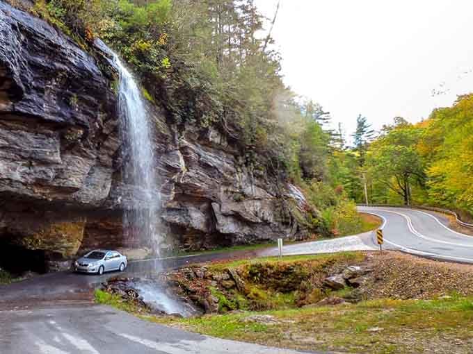 That moment when you realize North Carolina has been hiding waterfalls under its roads this whole time.