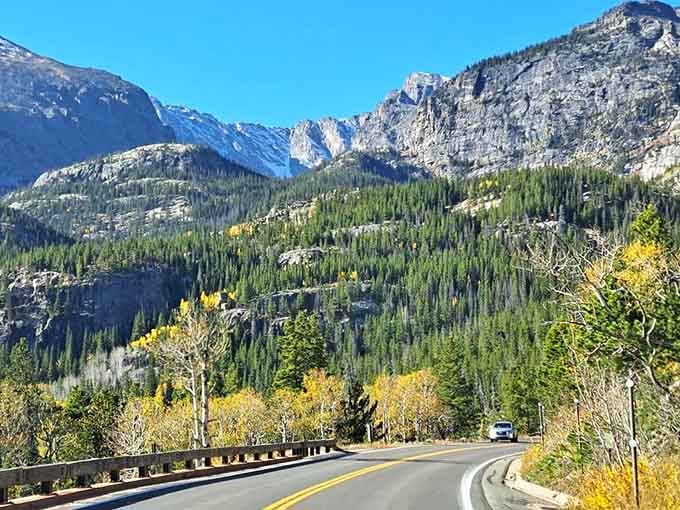 Golden aspens frame this perfect autumn curve where the road whispers promises of adventure around every bend ahead.