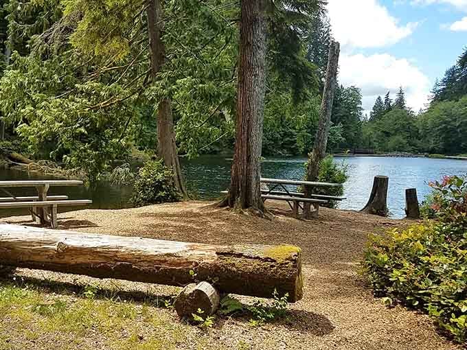 That moss-covered log bench is nature's way of saying you've earned a front-row seat to tranquility.
