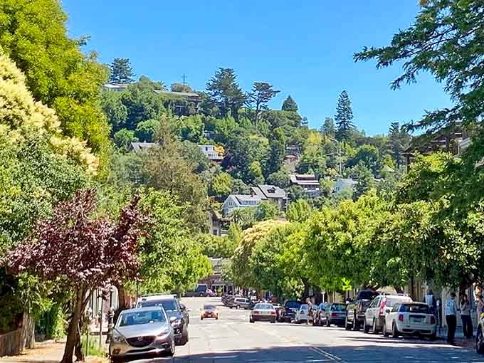 Downtown Mill Valley looks like a movie set where someone actually remembered to include the charm and trees.