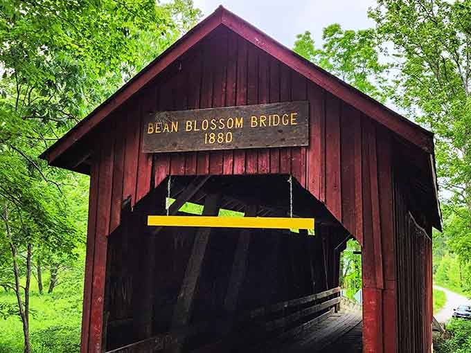 Standing strong through 140+ Indiana winters, this bridge has seen more weather mood swings than anyone.